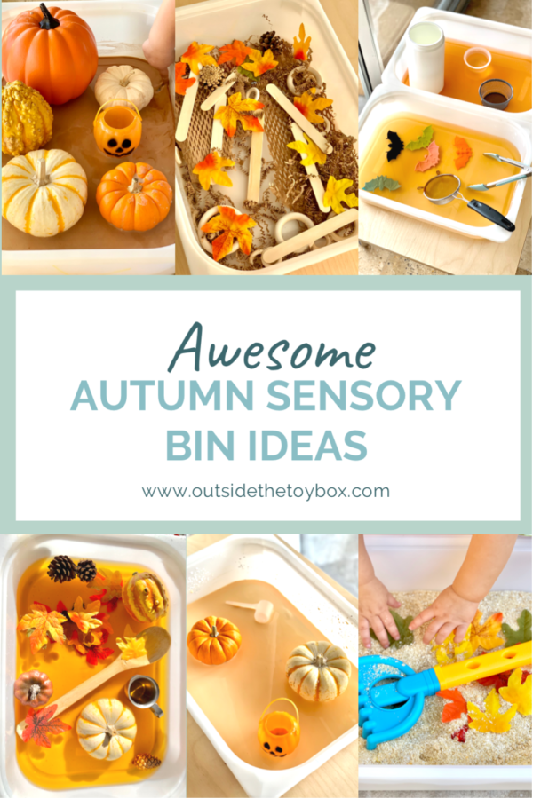 Awesome Autumn Sensory Bin Ideas - Outside the Toy Box